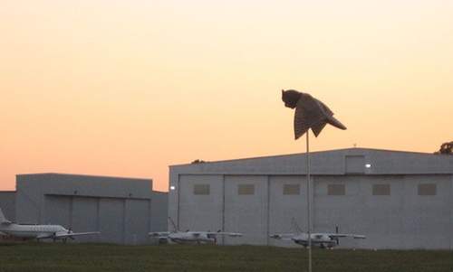 Prowling Flapping Owl Bird-X Predator - Bird Deterrent | Roofing ...