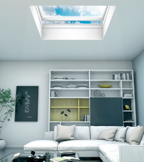 FAKRO DXG P2/02 Double Glazed Non-Opening Flat Roof Window - 600mm x ...